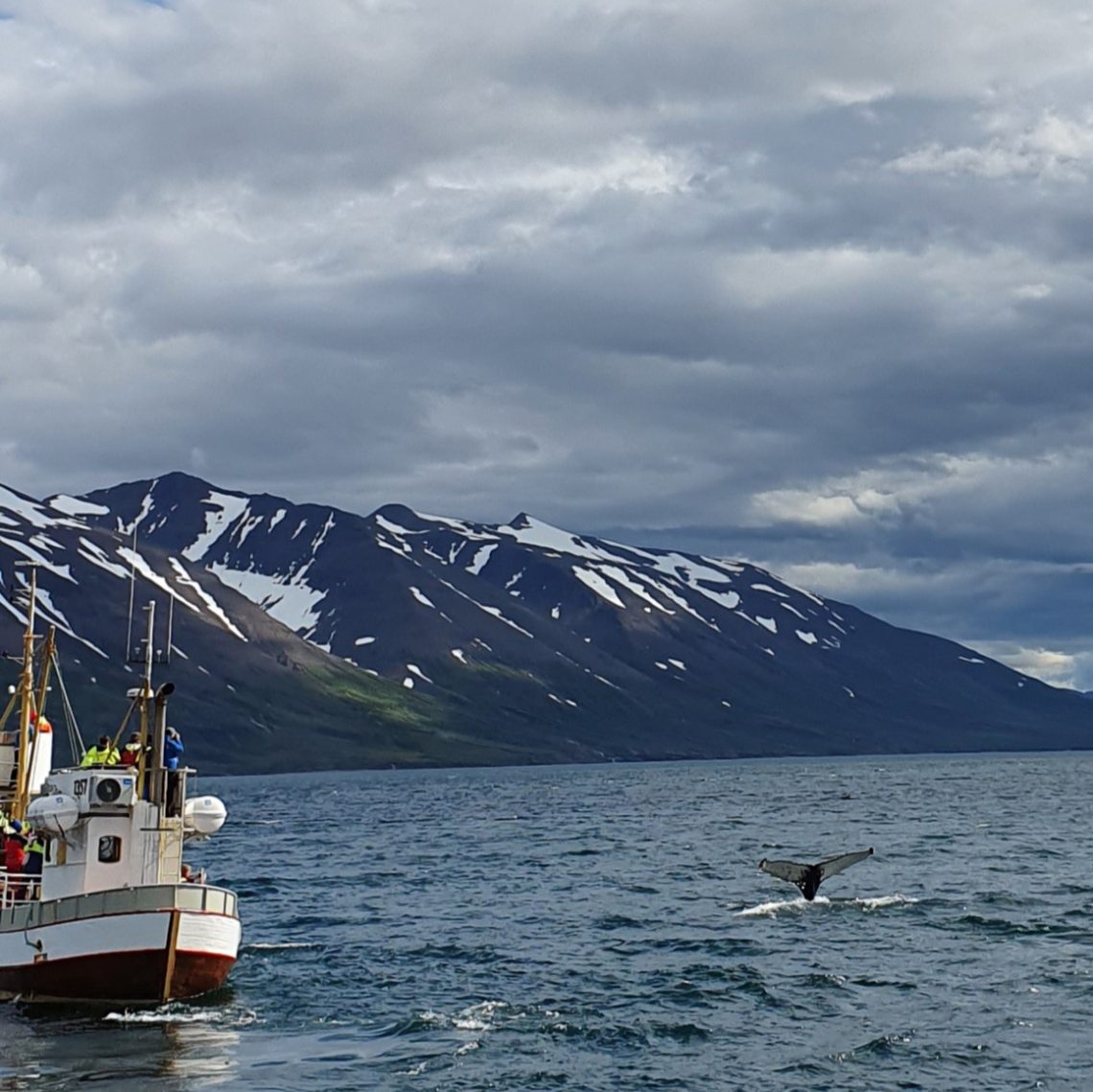 Enjoy – Welcome to Helluland Guesthouse