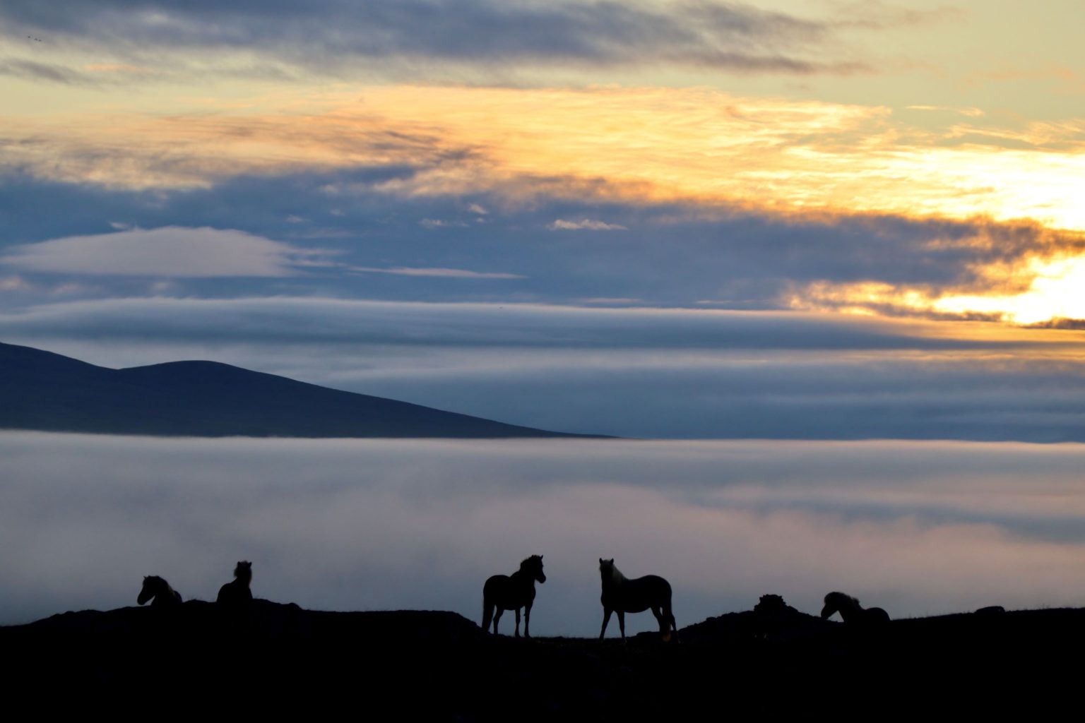 Welcome to Helluland Guesthouse